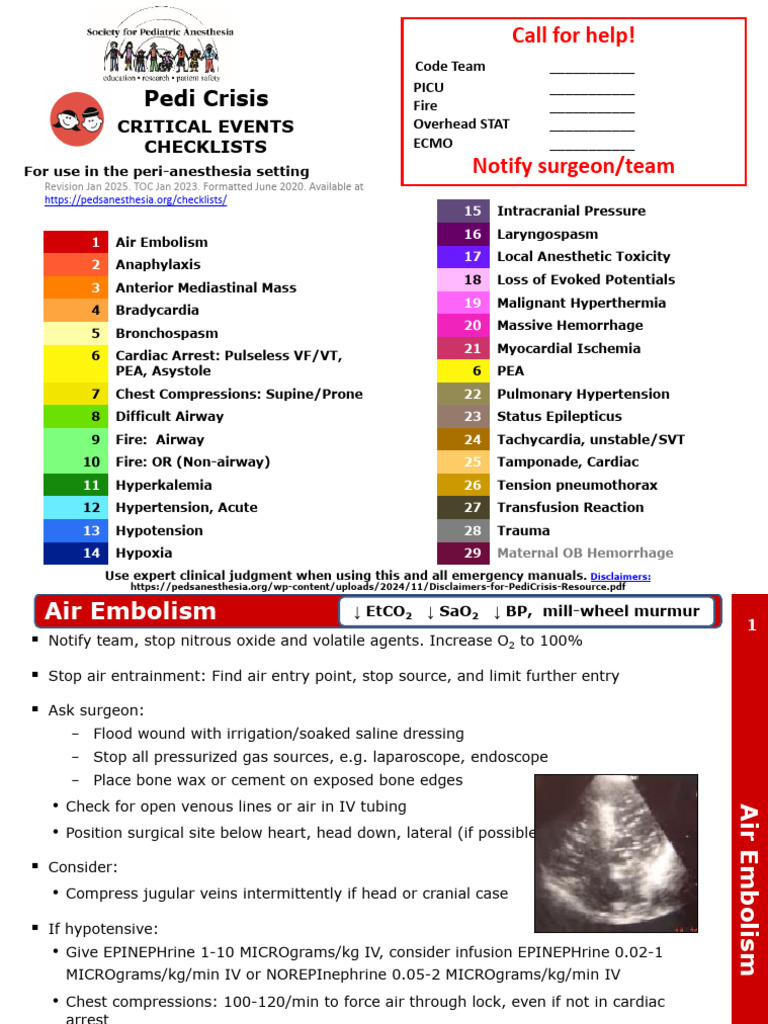 Pediatric Critical Events Checklist | PDF | Cardiopulmonary ...