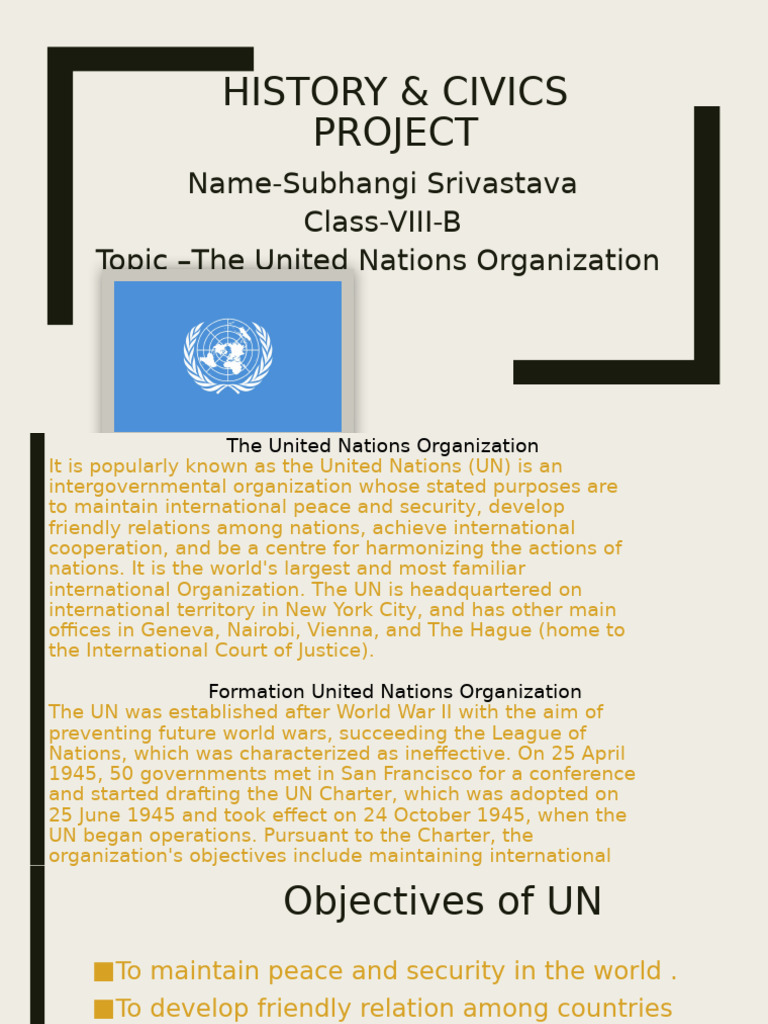 The United Nations Organization | PDF | United Nations | International ...