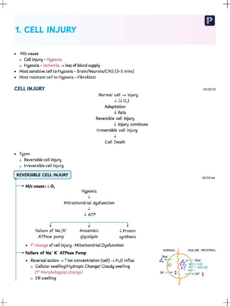 Pathology Version X | PDF