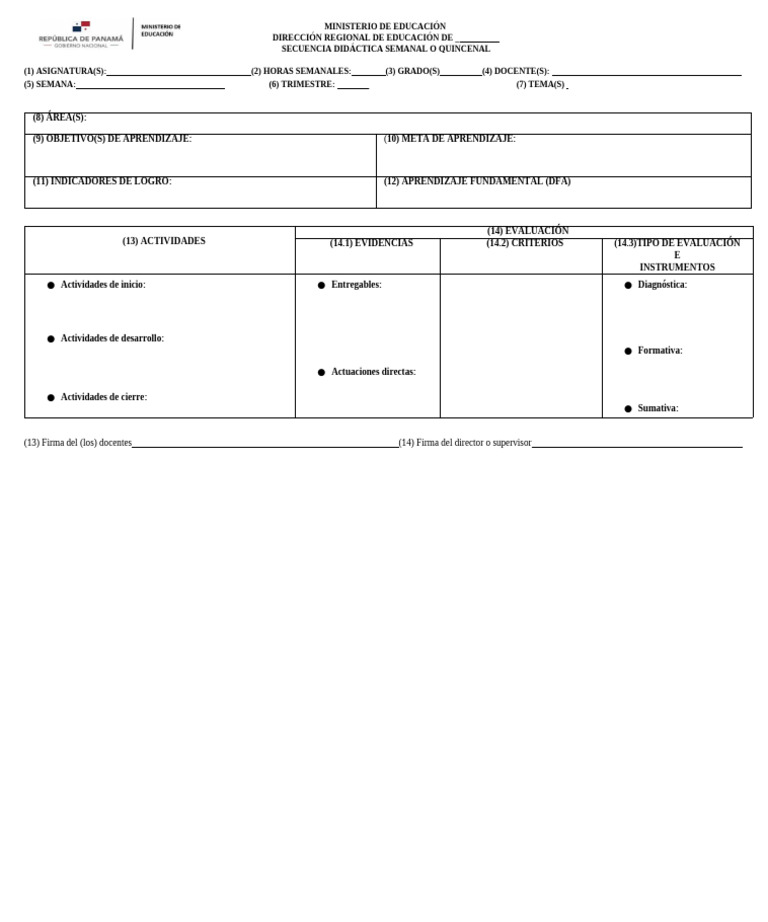 Formato - Planificación Vacio | PDF
