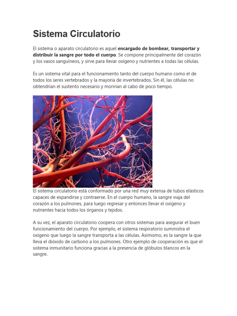 Sistema Circulatorio | PDF | Sistema circulatorio | Sangre