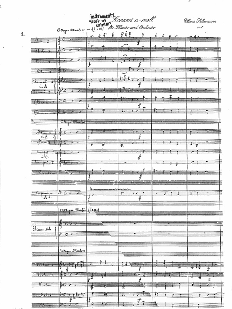 IMSLP572989-PMLP215733-Schumann C Op.7 Manuscript Score | PDF
