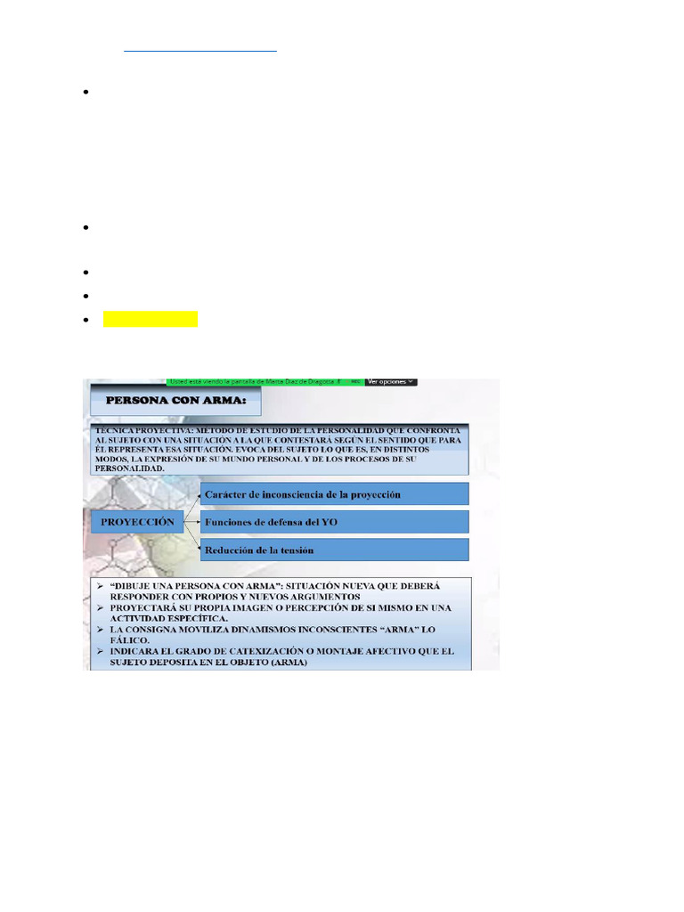 Persona Con Arma | PDF