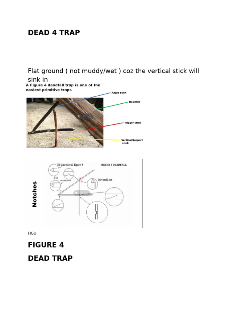Dead 4 Trap: Flat Ground (Not Muddy/wet) Coz The Vertical Stick Will ...