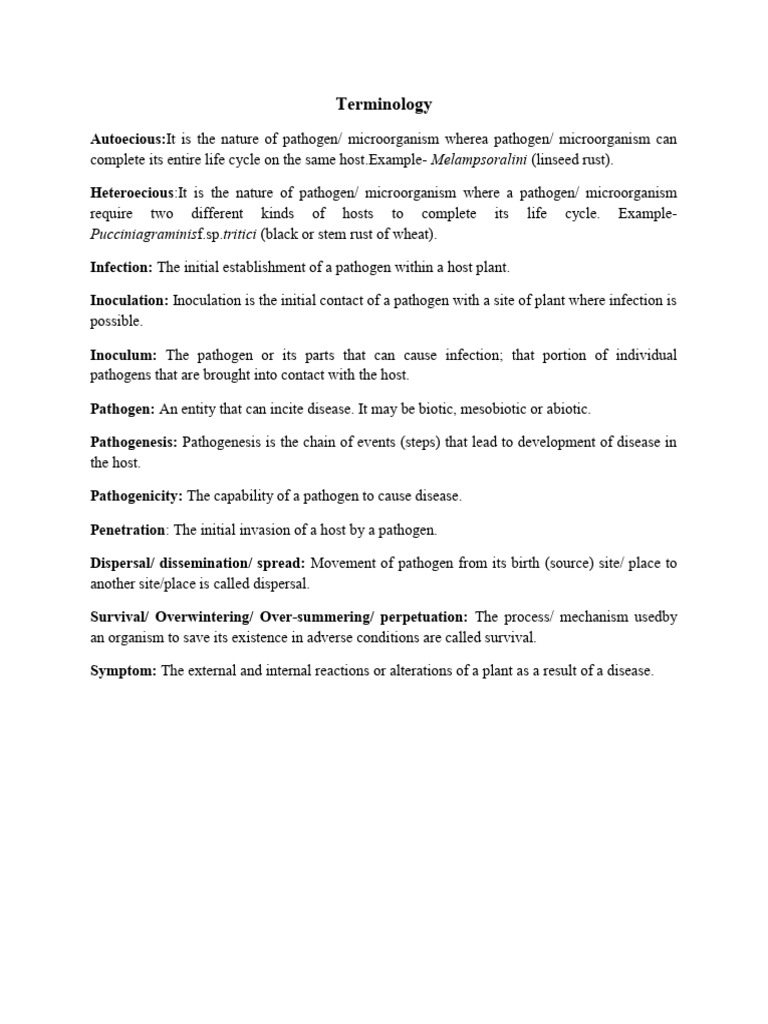 Terminology | PDF