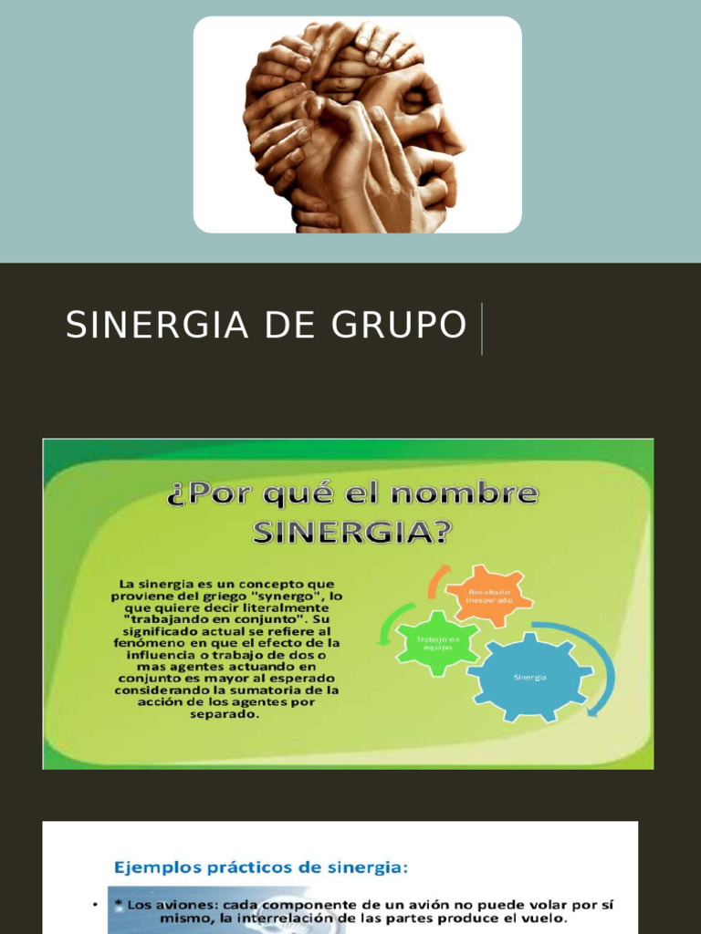 SINERGIA | PDF