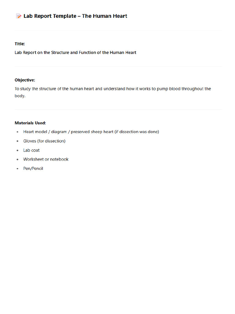Heart Report and Excretory System | PDF