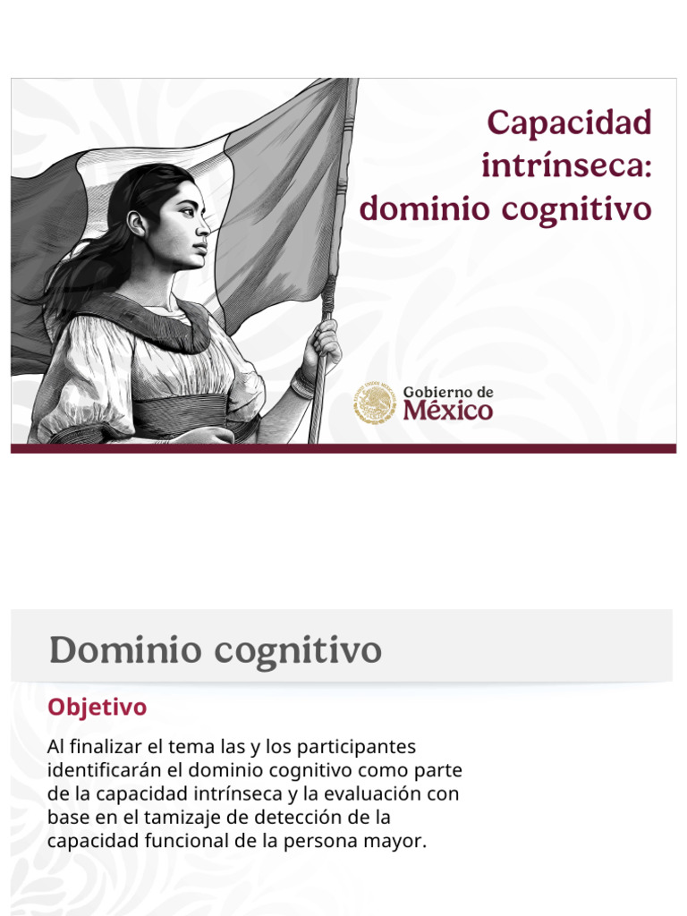 Dominio Cognitivo | PDF | Procesos mentales | Psicología cognitiva