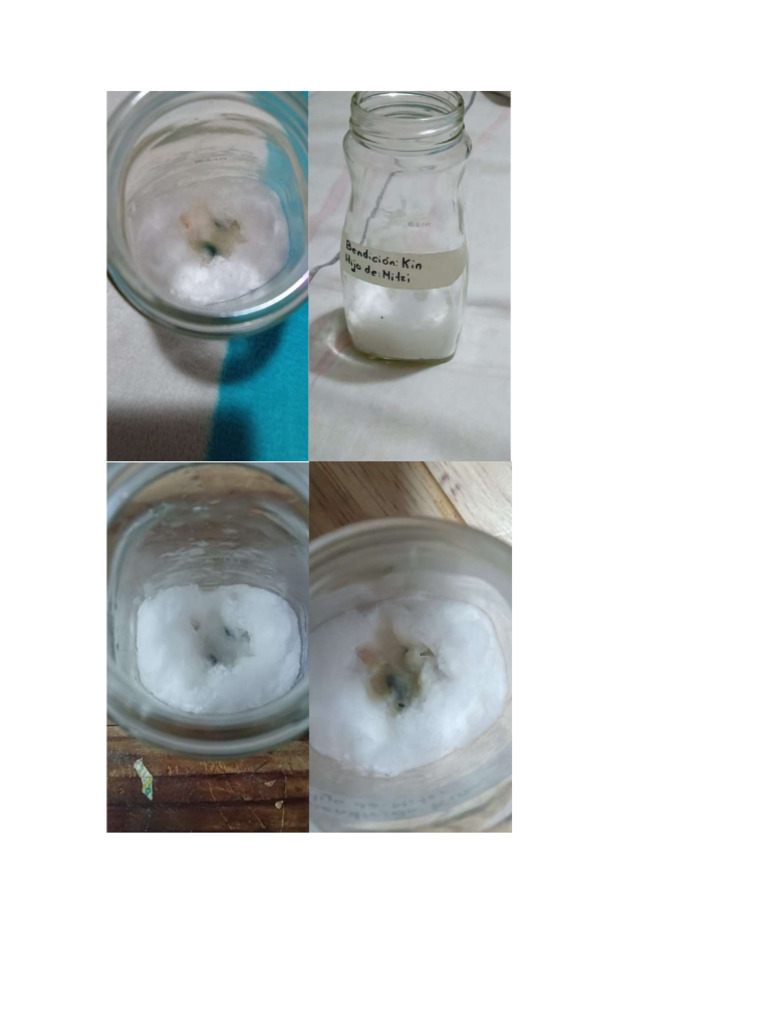 Responsabilidad MRG | PDF