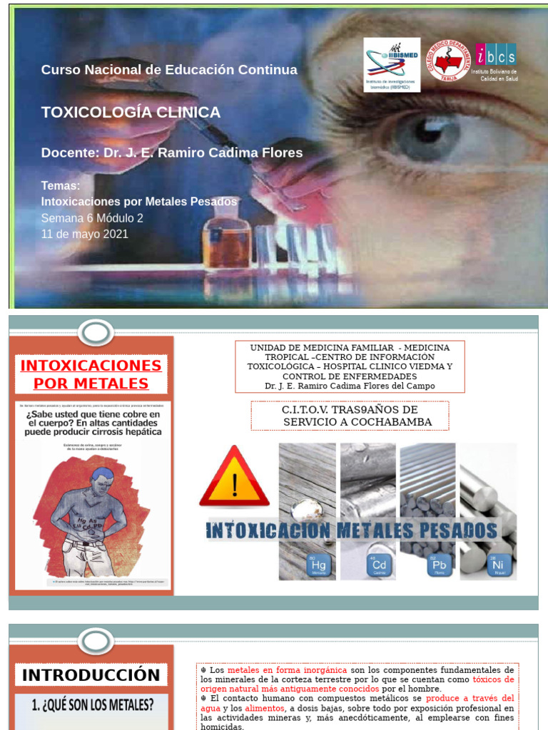 Intoxicación Por Metales Pesados | PDF | Mercurio (Elemento) | Agua