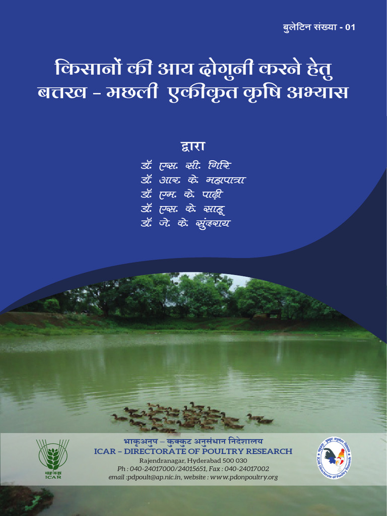 Duck Hindi | PDF