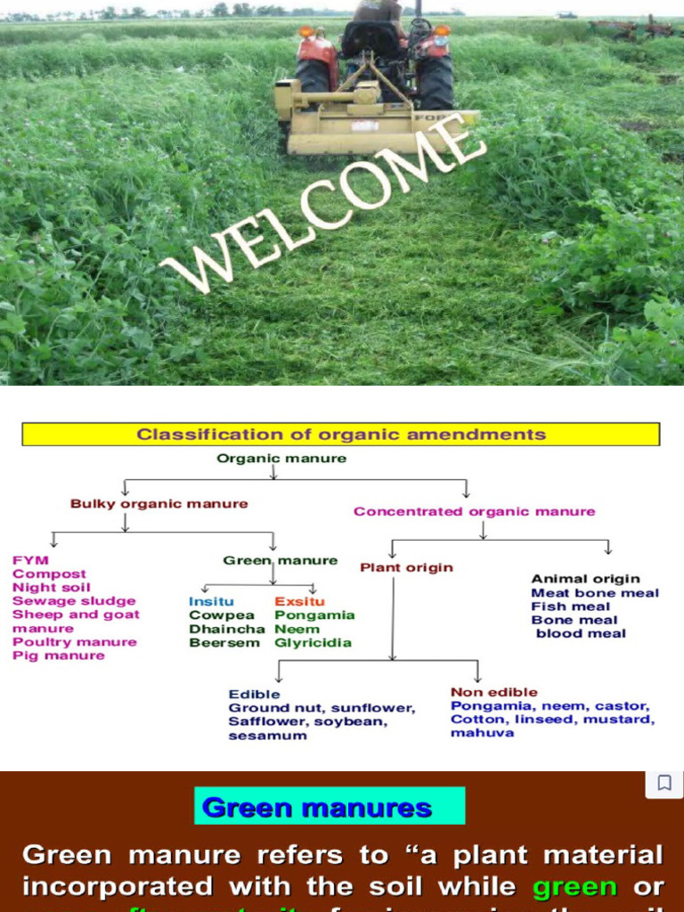 Green Manuring, 1st Yr | PDF