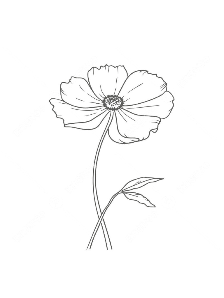 Beautiful Flower To Color | PDF