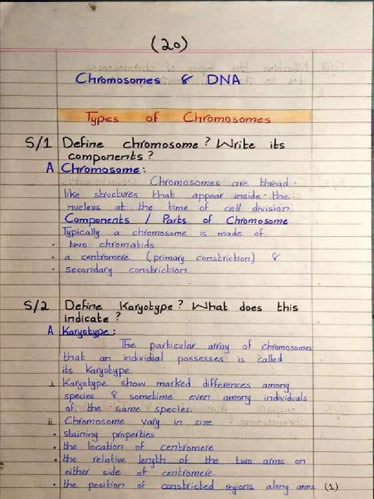 Chromosome & DNA Chapter | PDF