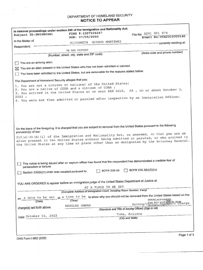 Eli Documentos de Entrada | PDF