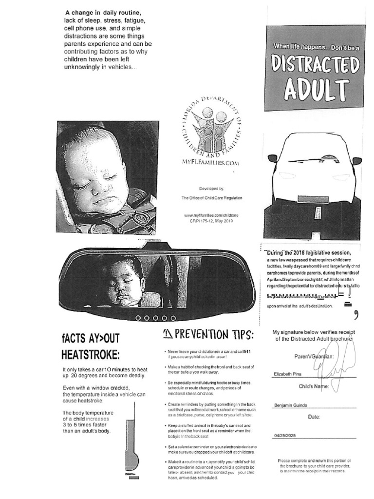 Distracted driver-Benjamin Guindo | PDF