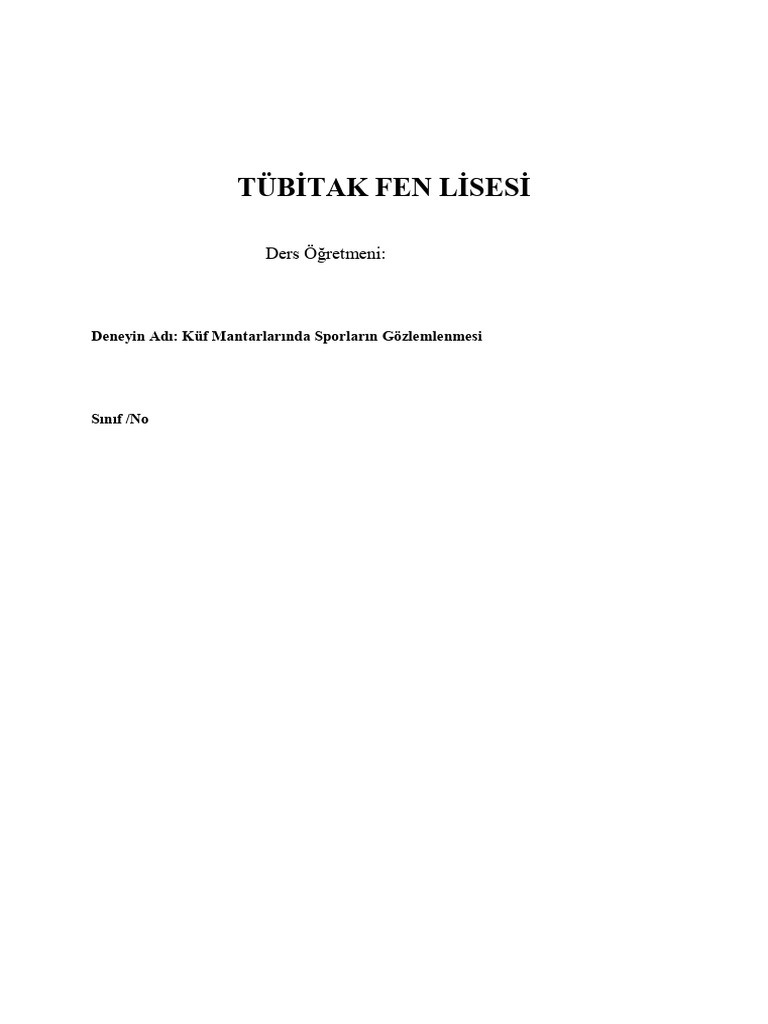Biyo Deney Spor | PDF
