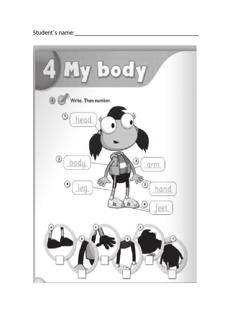 My Body A.C. | PDF