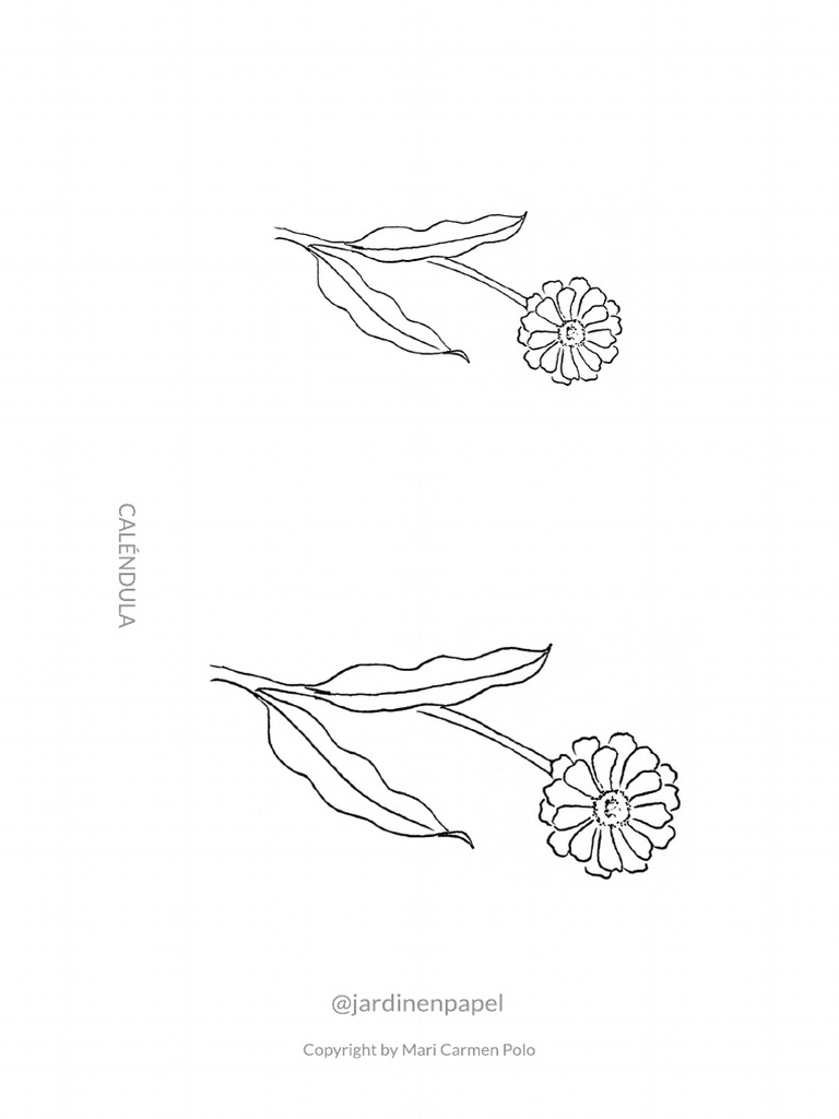 10 - Boceto Flor Octubre | PDF