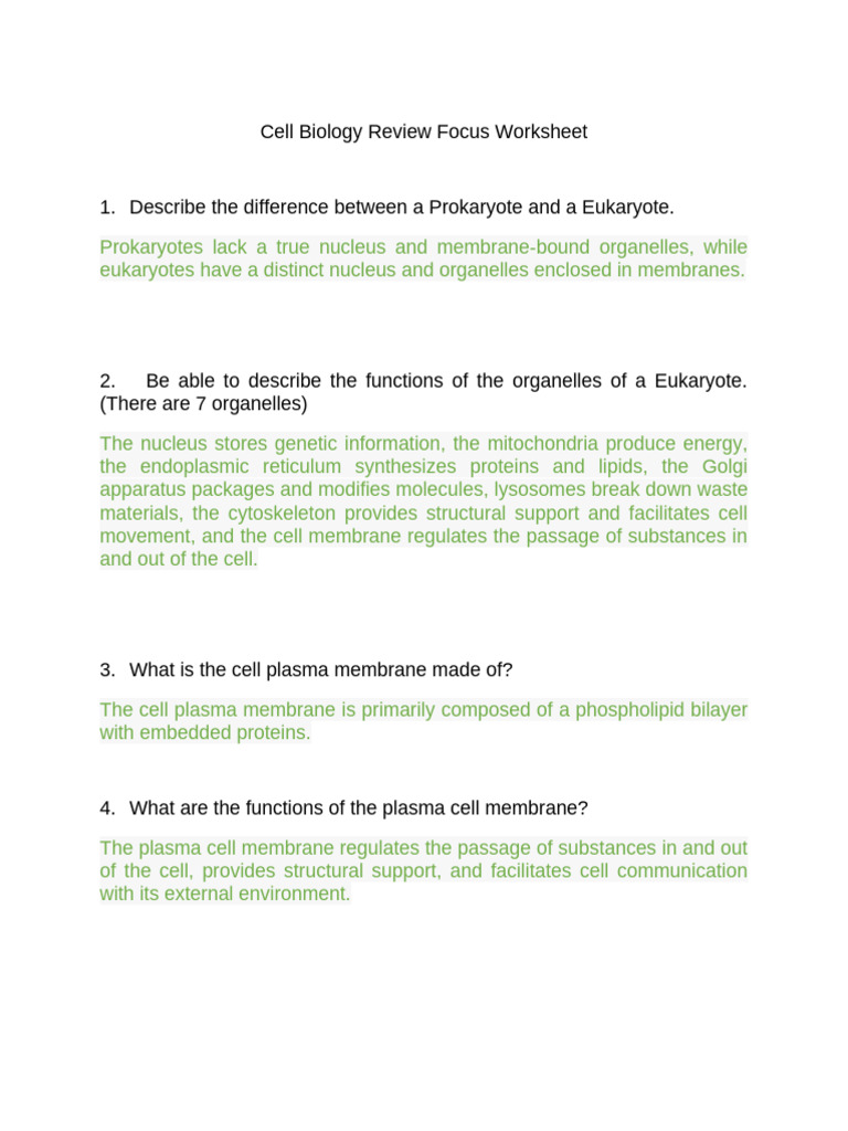 Week 2 - Focus Worksheet | PDF