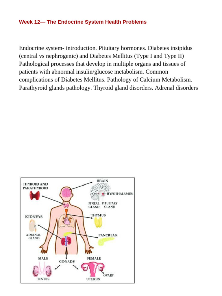 Week 12 PPII The Endocrine System Health Problems | PDF | Thyroid | Adrenal Gland