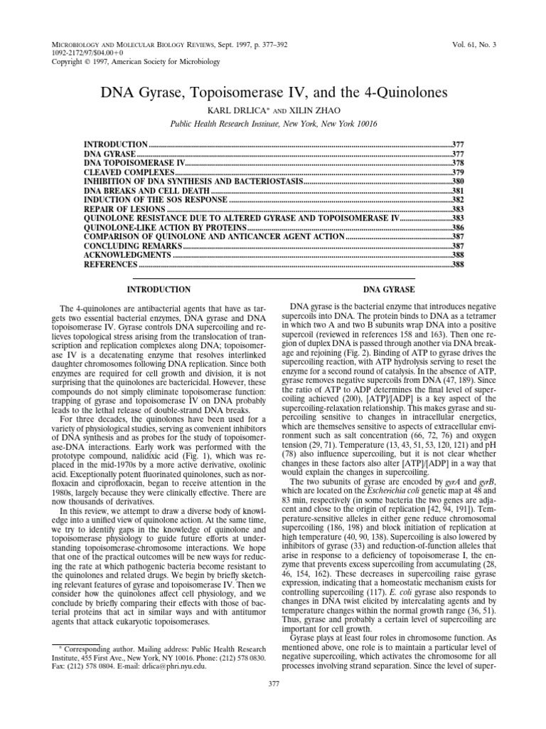 drlica-zhao-dna-gyrase-topoisomerase-iv-and-the-4-quinolones | PDF | Dna | Life Sciences