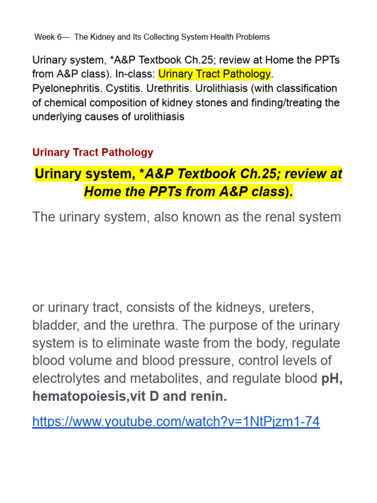 Week 6 PPII The Kidney and Its Collecting System Health Problems | PDF | Urinary Tract Infection ...