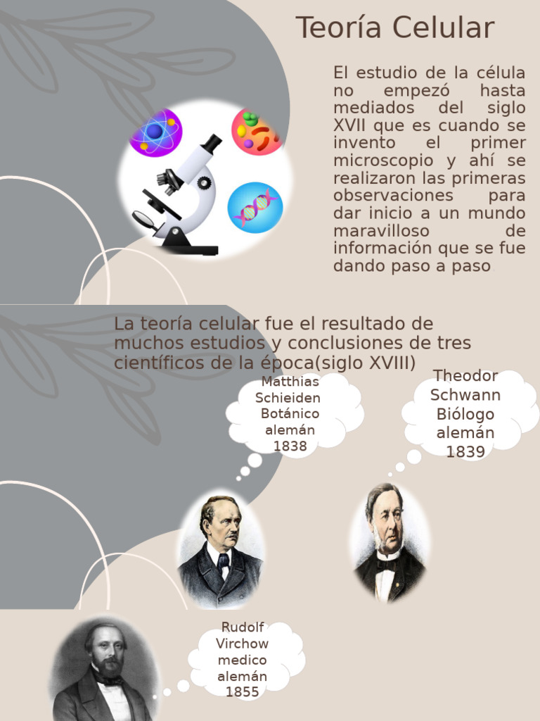 Teoría Celular | PDF