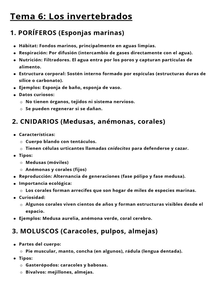 Tema 6 Los Invertebrados | PDF | Coral | Pulpo