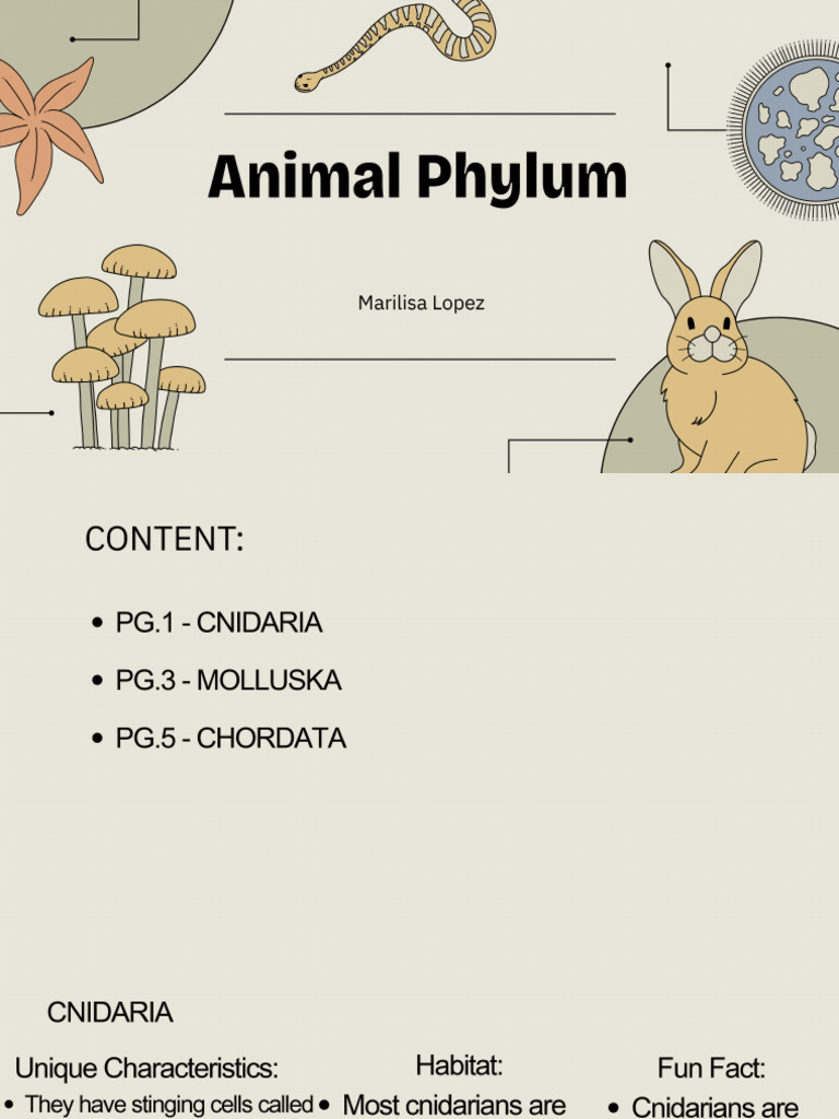 Animal Phylum | PDF