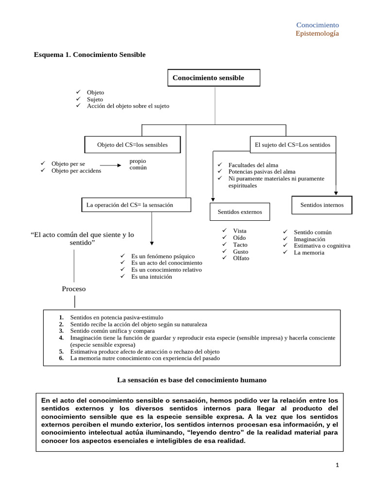 Conocimiento Sensible Un Primer Acercamiento | PDF | Conocimiento ...