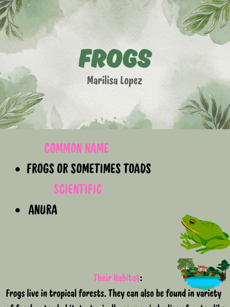 FROGS | PDF