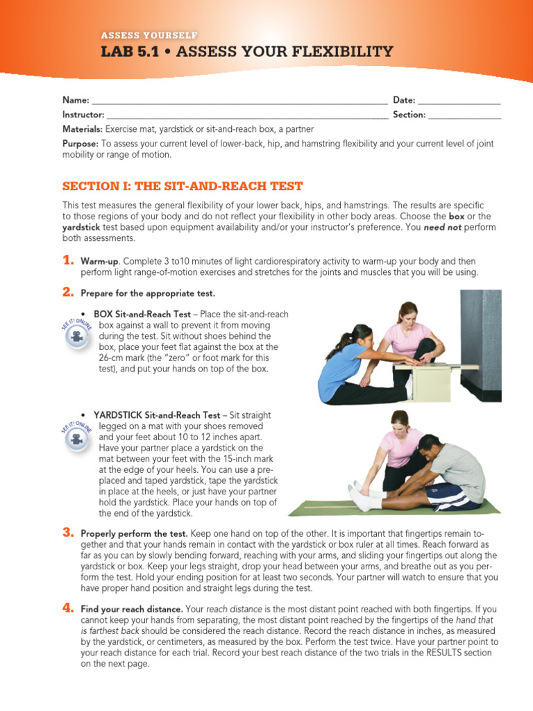Flexibility and Back Health Assessment | PDF | Anatomical Terms Of ...