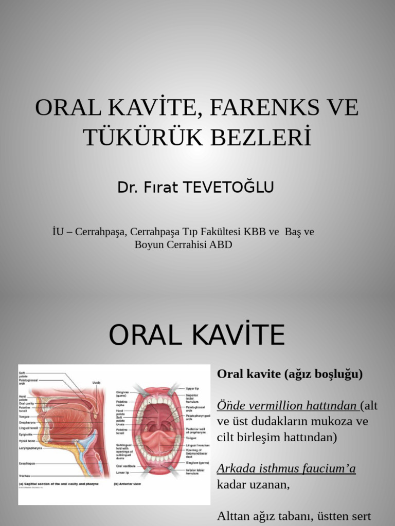 Oral Kavite, Farenks Ve TÃ Kã Rã K Bezleri Anatomisi | PDF