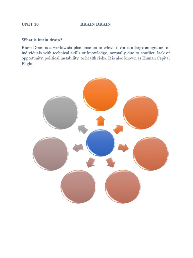 Understanding Brain Drain Causes And Effects Pdf Human Capital