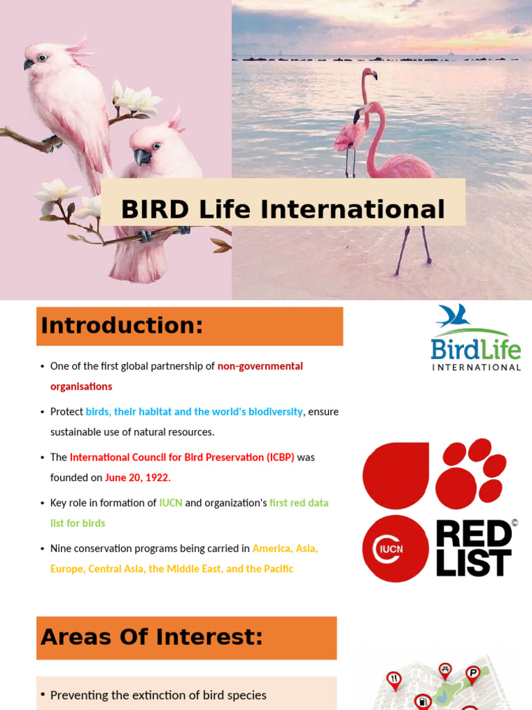 BirdLife International Conservation Efforts | PDF | Conservation ...