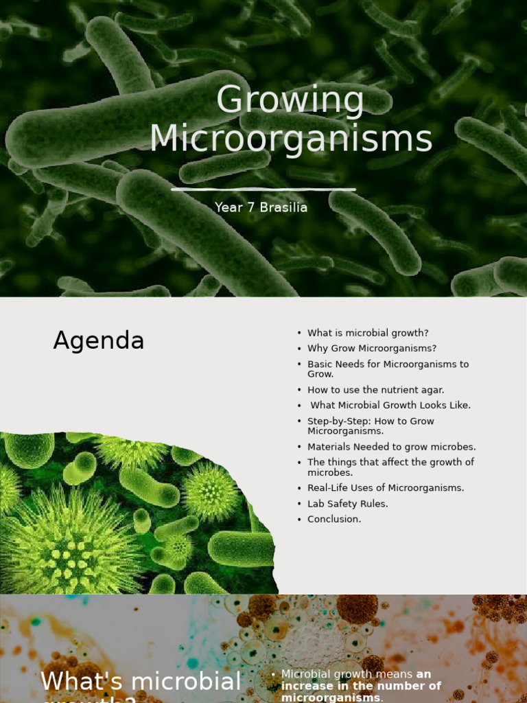 Notes On Microorganisms | PDF | Microorganism | Biology