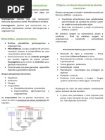 Espermatófitas | PDF | Plantas | Botânica