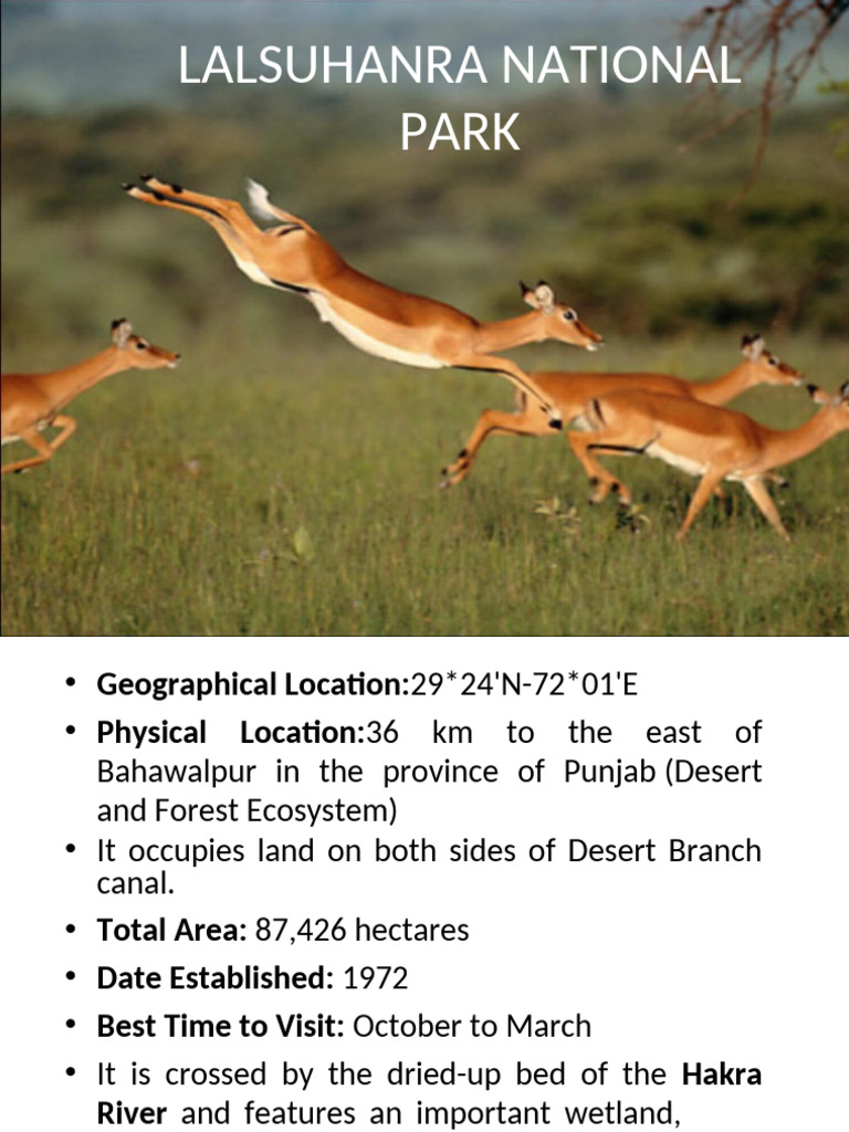 Lal Suhanra National Park | PDF | Antelope | Zoology
