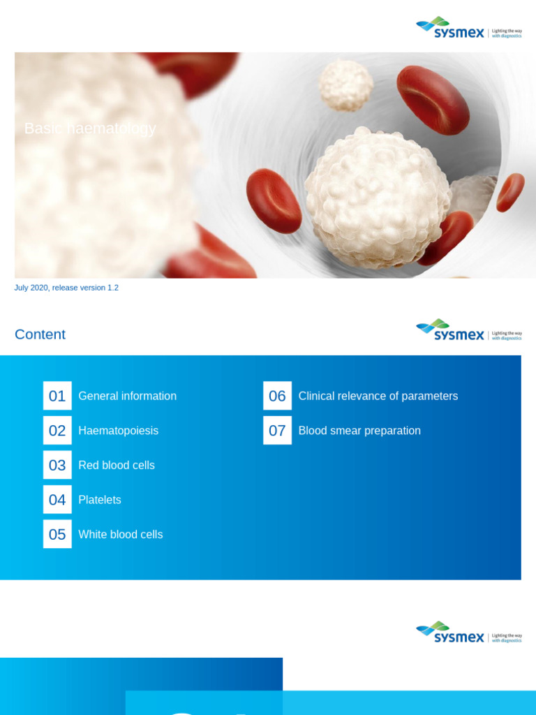 Basic Haematology Master Presentation | PDF | Blood | Blood Cell