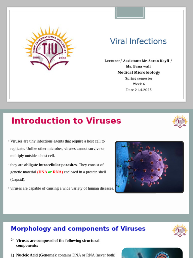 Medical Microbiology Lab.6 1 | PDF | Virus | Infection