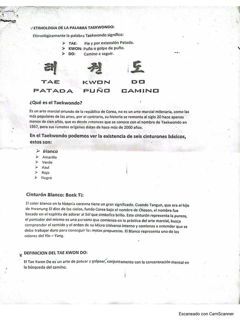 Guia Taekwondo | PDF