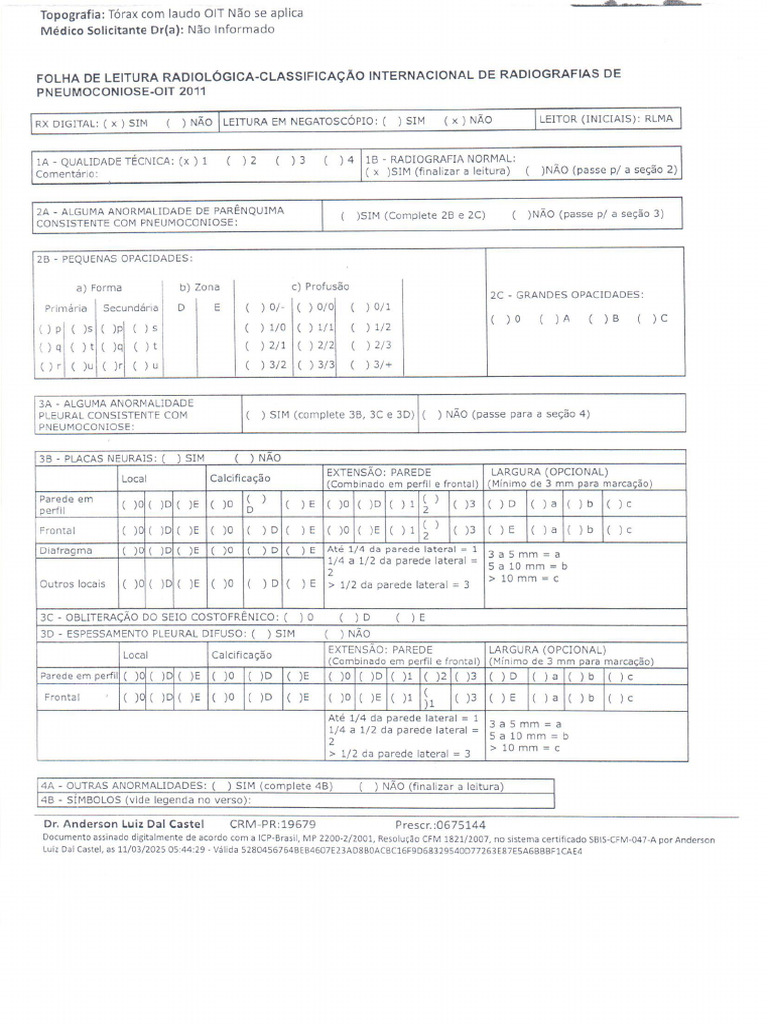 Modelo Laudo OIT | PDF