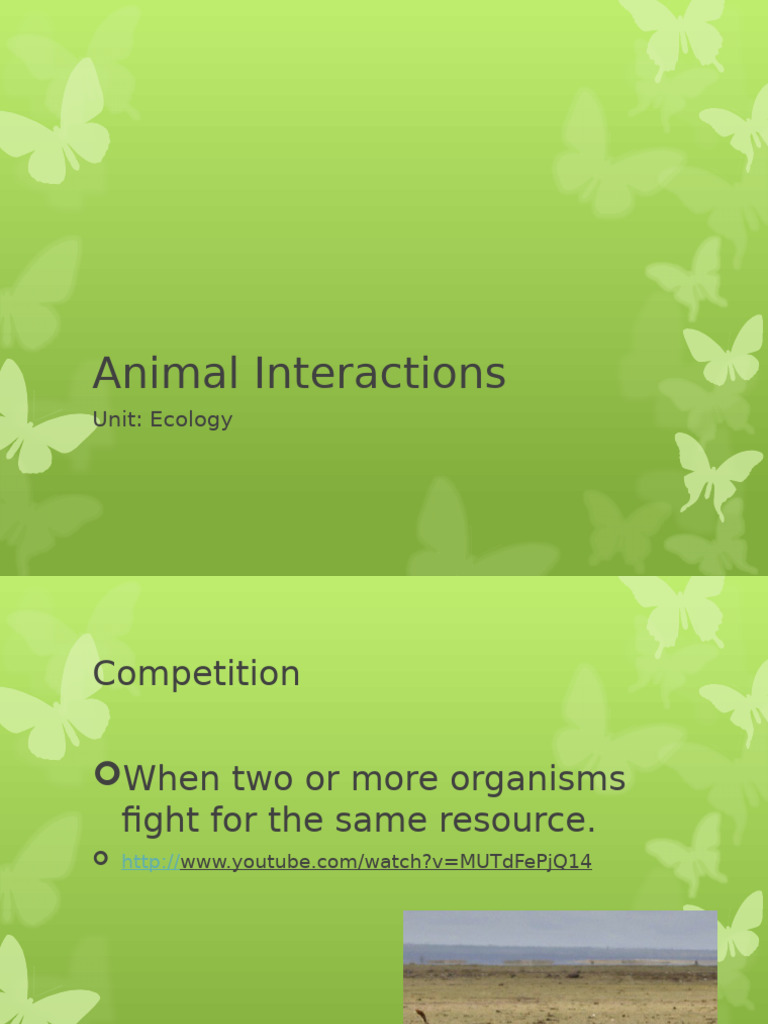 Understanding Animal Interactions in Ecology | PDF