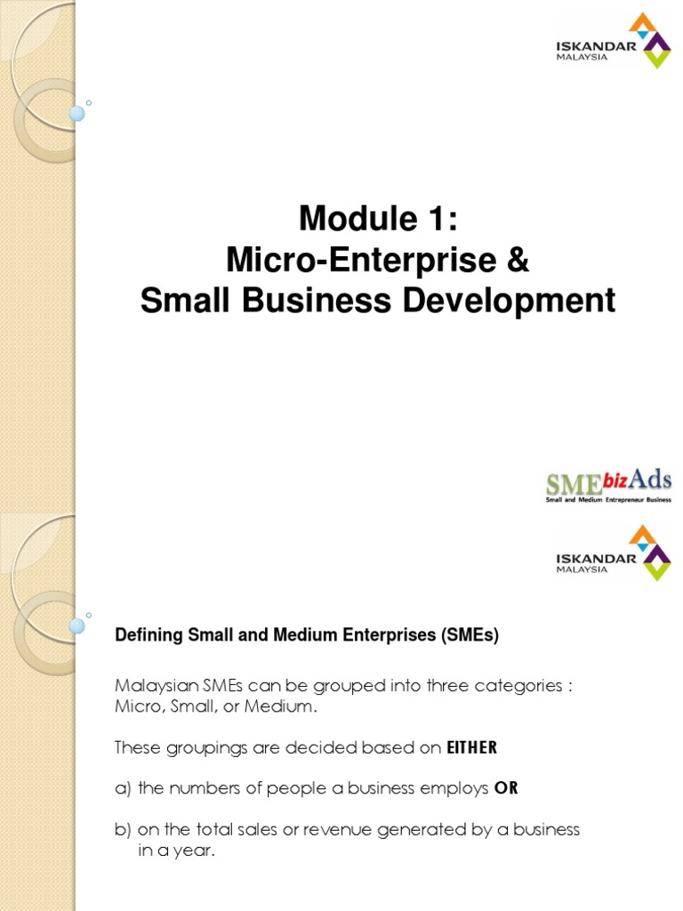 Micro-Enterprise & Small Business Development | PDF | Small And Medium ...