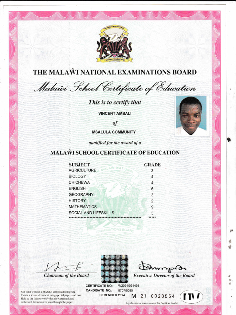 Vincent Ambali Msce | PDF