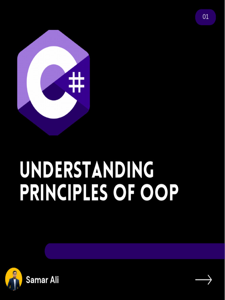 Understanding Principles of OOP 1726118057 | PDF
