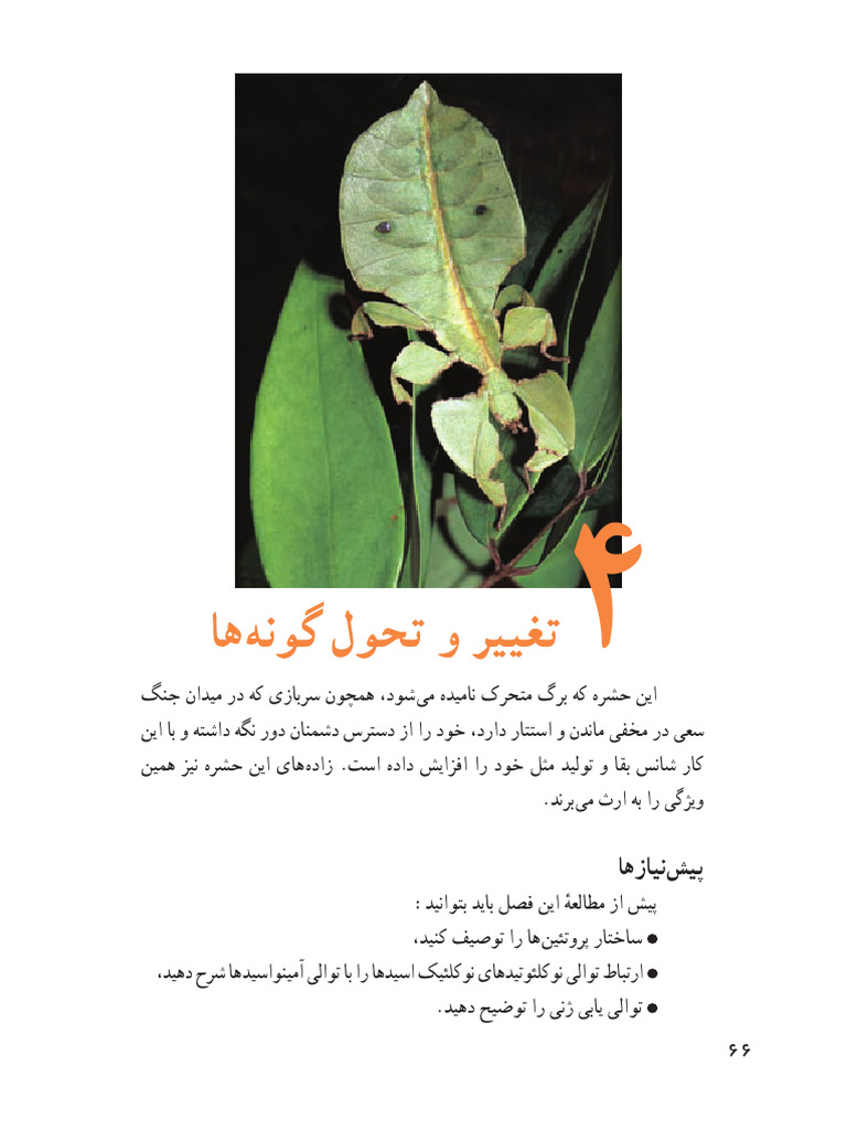 066-088-C290-2 | PDF