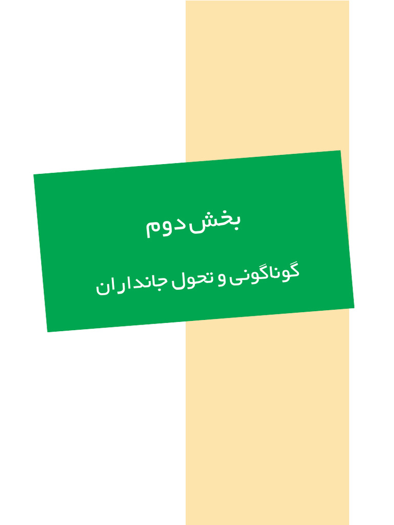 046 065 C290 2 | PDF