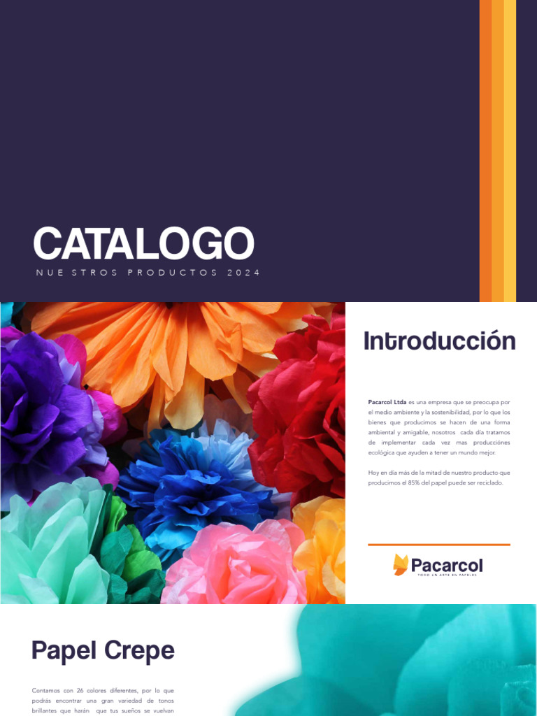 Catalogo 2024 Feb Com Prim i Do | PDF | Papel | Color